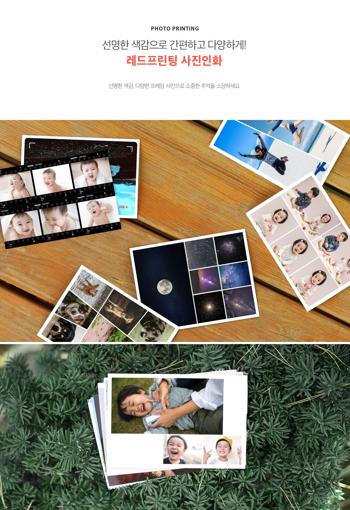 레드프린팅 앤 프레스 (Red Printing & Press)