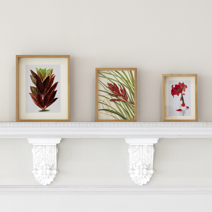 레드프린팅 앤 프레스 (Red Printing & Press)