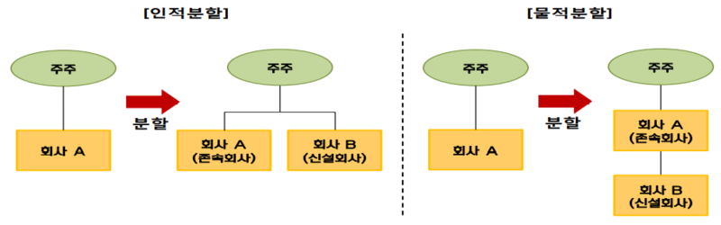 오늘의 용어 물적분할 발표 주가 왜 떨어지나요