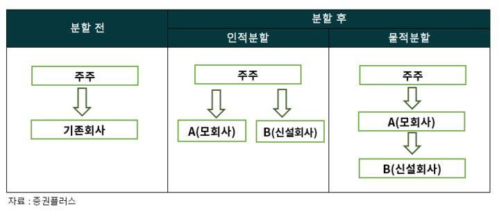 금주의용어 올해 대세인 인적분할 호재·악재 판단 기준은
