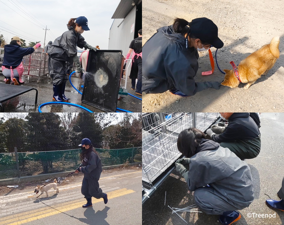 Treenod | 트리노드 » ﻿봉사를 통해 선한 영향력 만들기, treetive effect